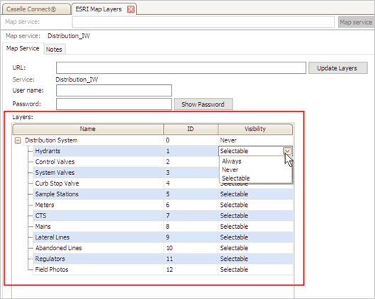 How do I set up Esri Map Layers?