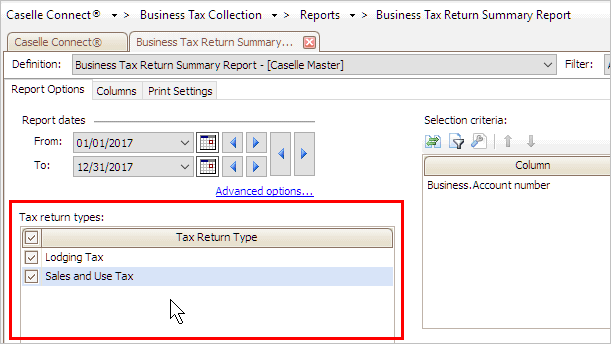 Business Tax Return Summary Report