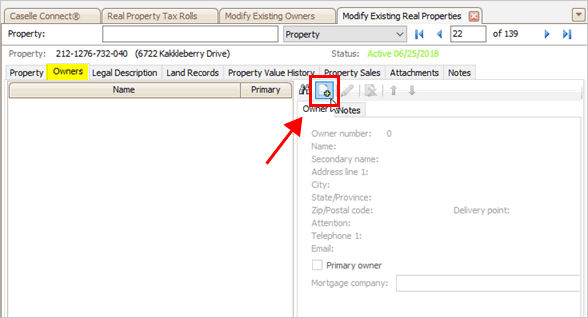 How do I assign a primary owner? (Real Properties)