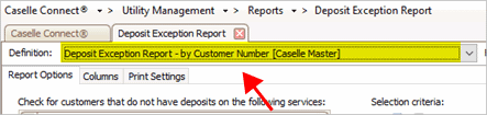 Deposit Exception Report
