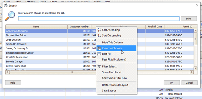 How do I customize the columns in a Search window? (Customer Inquiry)