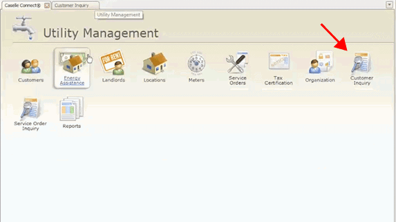 How do I launch Customer Inquiry?